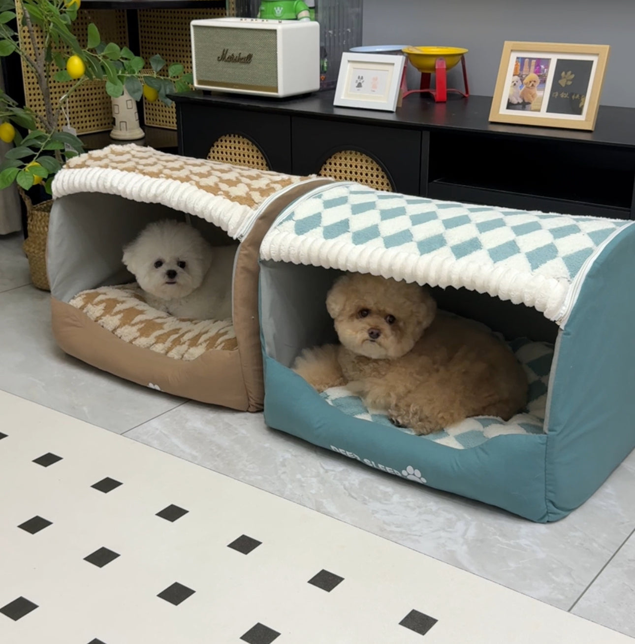Cozy Dog House– Pawslovestore