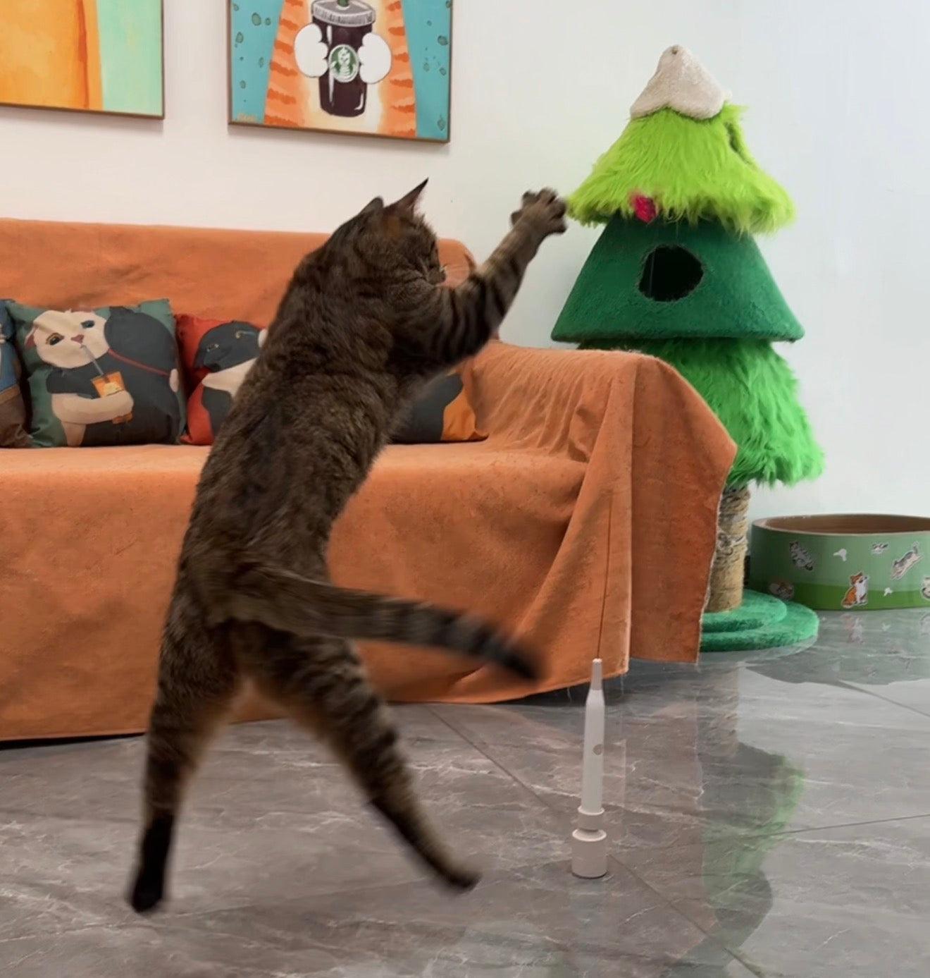 Wand Toy For cats – Pawslovestore
