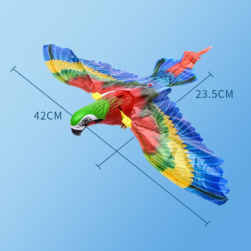 Bungee Cat Toys– Pawslovestore