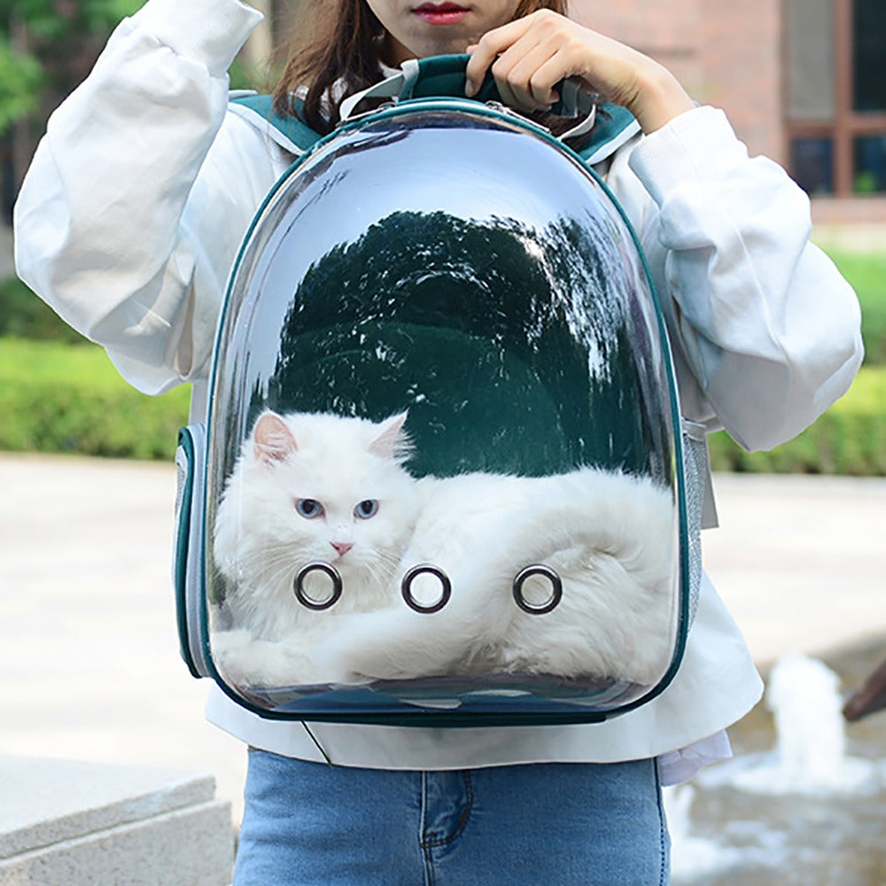 Cat Backpack– Pawslovestore